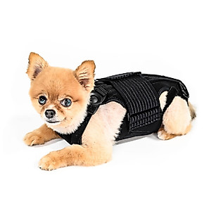 Dog Back Brace with Soothing Heat Warmers for IVDD - Pain Relief for Arthritis - Spinal Surgical Recovery - Herniated & Slipped Disc - Made in USA (Small)