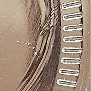 ALONCEgwsnh Spices Jars Hot Transparent Glass Storage Can Dry Fruit Bisscuits Grains Dessert Containers