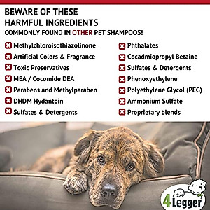 4Legger Organic Dog Shampoo USDA Certified Organic Aloe Vera, Lemongrass, Coconut Oil, All Natural Dog Shampoo, Dog Shampoo Sensitive Skin, Dog Shampoo for Itchy Skin 16 oz