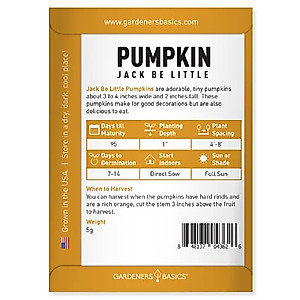 Mini Pumpkin Seeds for Planting (Jack Be Little) Small Heirloom, Non-GMO Vegetable Variety-5 Grams Seeds Great for Summer Pumpkin Gardens by Gardeners Basics