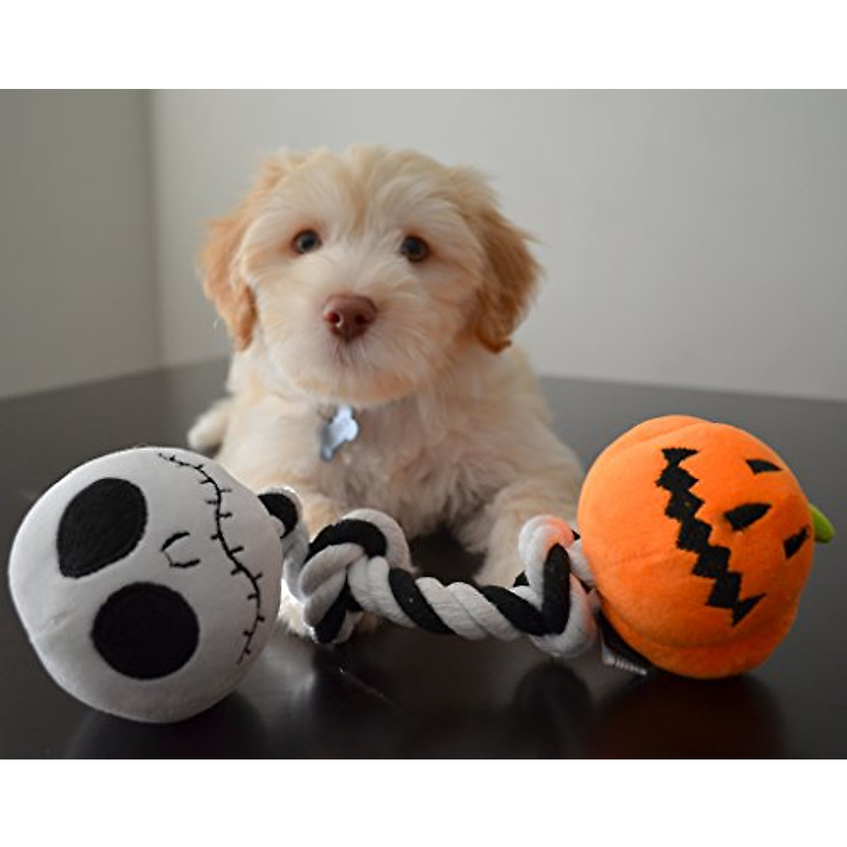 Disney Nightmare Before Christmas Pumpkin King Rope Tug Chew Dog Toy, Two Built-in Squeakers, Multi-Sensory Toy