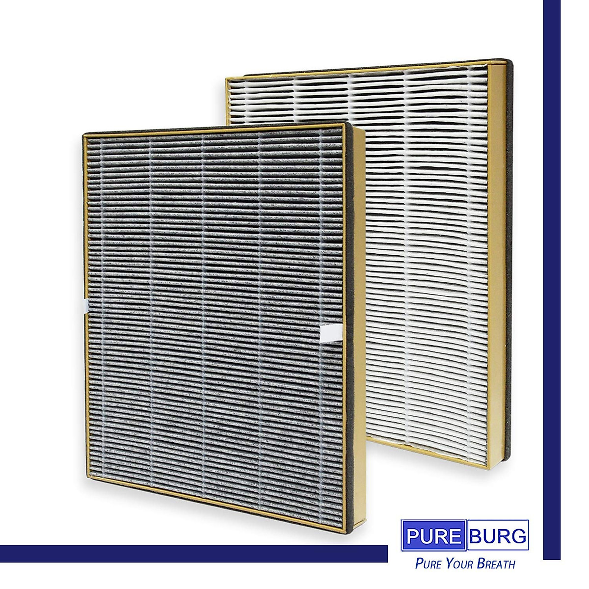 PUREBURG Replacement True HEPA Filter Compatible with TaoTronics TT-AP002 and VAVA VA-EE008 Air Purifiers, H13 High-efficiency Activated carbon True HEPA 2-IN-1 Air Clean VOC Dust,2-Pack