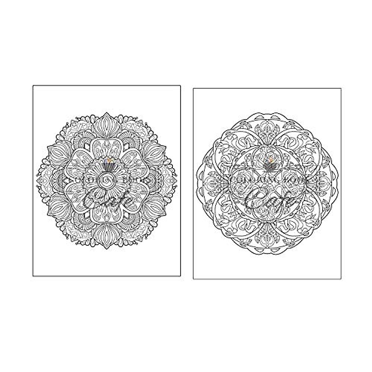 125 Mandalas: An Adult Coloring Book Featuring 125 of the World’s Most Beautiful Mandalas for Stress Relief and Relaxation (Mandala Coloring Books)