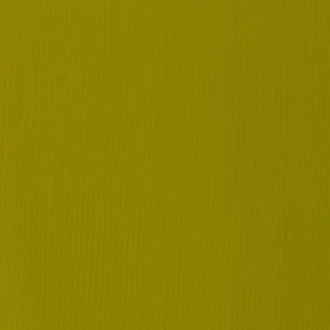 Liquitex BASICS Acrylic Paint, 118ml (4-oz) Tube, Light Olive Green