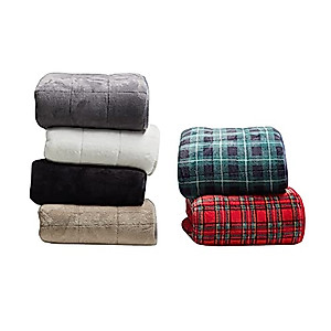 Thesis Home Weighted Blanket with Premium Glass Beads for Kids and Adults - 100% Brushed Microfiber Plush Reversible Sherpa Calming Blanket - 10 lbs - 50 X 60, Taupe