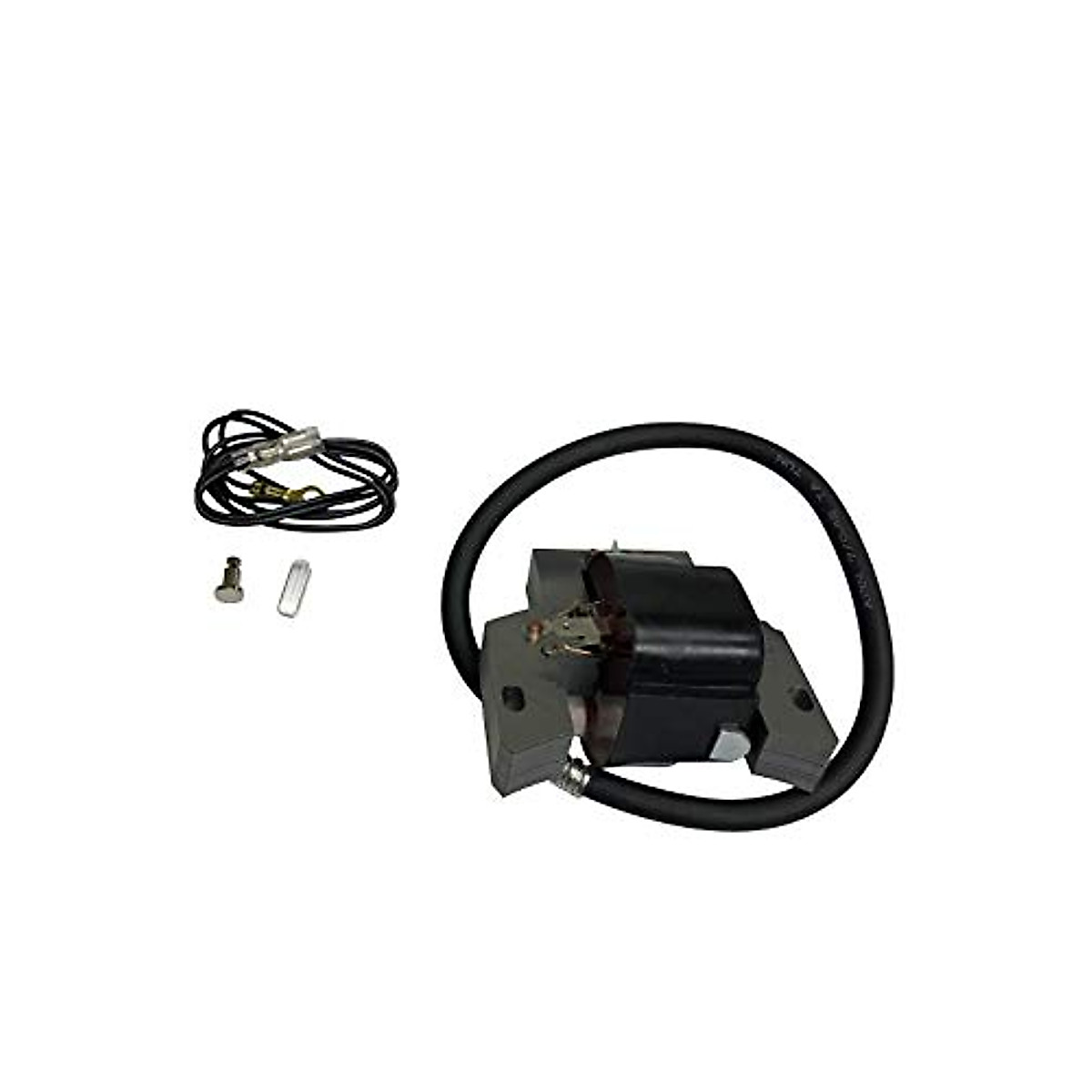 ENGINERUN 398593 Ignition Coil Module Magneto for Briggs & Stratton 3HP Engines 793281, 793352, 792594, 395489, 398593 496914