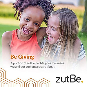 zutBe Dual Port USB-A Foldable 30W, 2.4A Fast Foldable Plug, 1 Quick Charge QC 3.0 Wall Charger Compatible with iPhone 14 13 12 SE 11 X 8 7 & iPad Samsung Galaxy [Be Charitable, Durable, Confident]