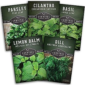 Survival Garden Seeds Herb Collection Seed Vault - Italian Parsley, Cilantro, Basil, Lemon Balm, Dill - Non-GMO Heirloom Survival Garden Seeds for Planting - Grow Herbs Indoors & Outdoors Year Round