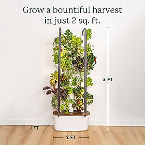 Gardyn 3.0 Hydroponics Growing System & Vertical Garden Planter - Includes 30 Non-GMO Indoor Plants, Herbs & Vegetables for Your Home Indoor Gardening System | Next Generation of Indoor Smart Gardens