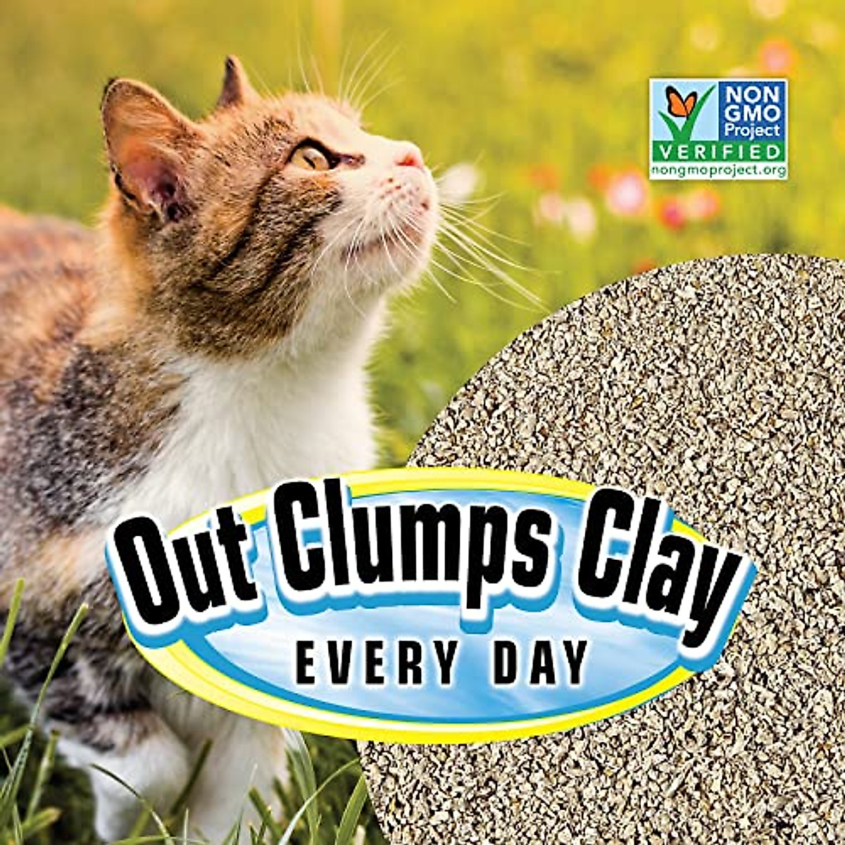 SmartCat All Natural Clumping Litter, 20-Pound (6506), (Pack of 1), 320 Ounce.