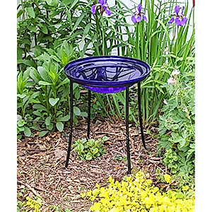Achla Designs FB-14 Ring Wrought Iron Metal Plant birdbath Bowl Stand Flowerpot Holder, Black