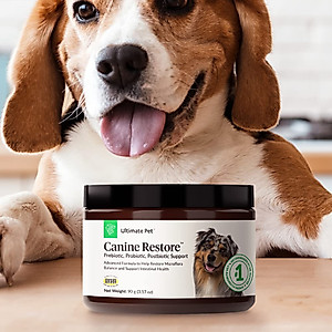 Ultimate Pet Nutrition Canine Restore, Prebiotic, Probiotic, Postbiotic, Digestive Health, Immunity Support, Vet Formulated, Powder, Food Topper