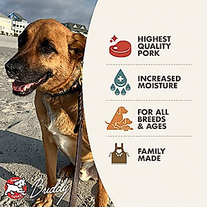 Fromm Four-Star Nutritionals Shredded Pork in Gravy Entrée Dog Food - Premium Wet Dog Food - Pork Recipe - Case of (12) 12 oz Cans