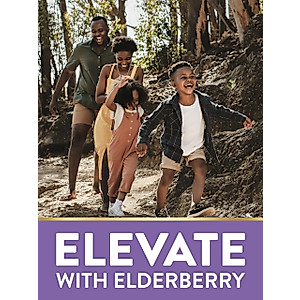 Nature's Truth Black Elderberry Capsules | 100 Count | Super Concentrated Sambucus Extract | Non-GMO and Gluten Free Supplement