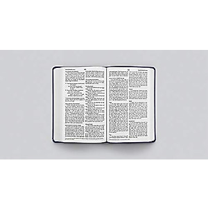ESV Large Print Value Thinline Bible (TruTone, Navy, Mosaic Cross Design)