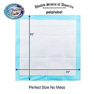 Petfamily Super-Absorbent Dog Training Potty Pee Pads Puppy Piddle Pads (100-Count)