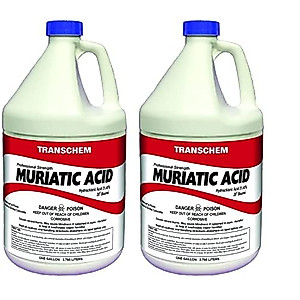 Sunbelt Chemicals 1 Gallon Muriatic Acid (Pack of 2)