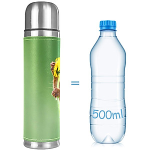 Stainless Steel Vacuum Insulated Mug, Red Squirrel Green Print Thermos Water Bottle for Hot and Cold Drinks Kids Adults 17 Oz