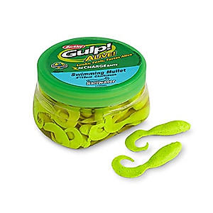 Berkley GAPSM4-CH Gulp! Alive! Swimming Mullet, Chartreuse, 12.5 Ounces, 4in - Pint 4x7