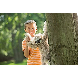 Wild Republic Cuddlekin Three Toed Sloth 12" Plush, Cuddlekins (12257)