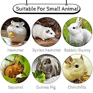 Hamiledyi 20 pcs Chinchilla Lava Blocks Rabbit Chew Toys Bunny Lava Teeth Grinding Square Stone Small Animal Mineral Calcium Stone for Hamsters,Chinchillas,Parrot