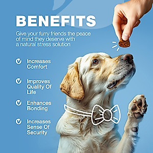 CHEWIA Hemp Calming Chews for Dogs Anxiety - 180 Duck Flavor Treats for Dog Calming with Valerian Root, Chamomile Extract & L-Theanine - Dog Chews for Vet Visits, Travel, Thunderstorms, Nail Trimming
