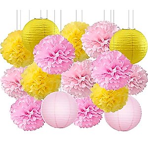 HappyField Sunshine First Birthday Decorations You Are My Sunshine Party Decorations Baby Shower Decorations Yellow Pink Tissue Pom Poms Paper Lantern for Wedding Bridal Shower Sunshine Party Supplies