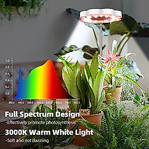 Grow Light, CANAGROW Full Spectrum LED Plant Lights for Indoor Plants, Height Adjustable Plant Halo Growing Lamps, Auto On/Off Timer, 3 Lighting Modes & 10 Dimmable Brightness for Small Plants