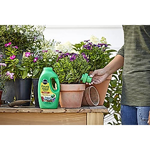 Miracle Gro 1006002 32 Oz Pour & Feed Liquid Plant Food 0.02-0.02-0.02