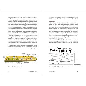 Teaming with Fungi: The Organic Grower's Guide to Mycorrhizae (Science for Gardeners)
