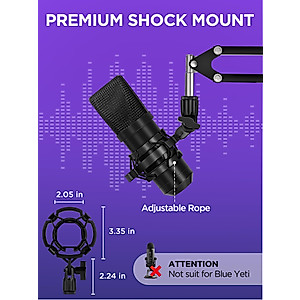 InnoGear Microphone Stand Mic Boom Arm for Blue Yeti HyperX QuadCast S SoloCast Snowball Fifine K669B and other Mic, with Shock Mount Windscreen Pop Filter Mic Clip Holder Cable Ties, Large