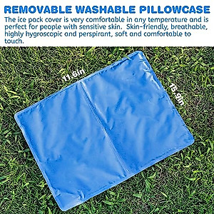 Back Heating pad, Cooling Ice Pad, Gel Ice Pad for Pillow, Pillow Ice Pad, Large Gel Ice Pack, Children's Sleeping Head Cooling Ice Pack, Ice Pad for hot Flashes, Night Sweats (11.6X15.9in)