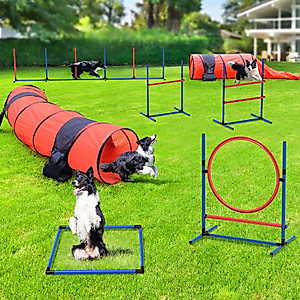 YITAHOME Dog Agility Equipments, Includes Flirt Pole Toy, 3 Flying Discs, 2 Agility Tunnel, 3 Jumps, 6 Weave Poles, Pause Box,Agility Course Set for Backyard, Indoor, Outdoor