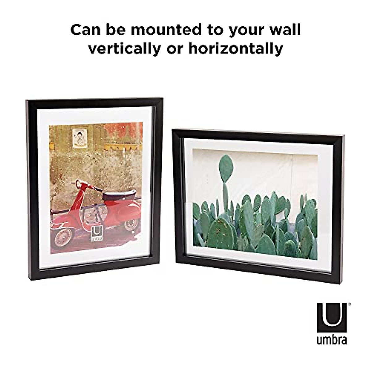 Umbra 316280-040 Floating Frame for Displaying Documents, Diploma, Certificate, Photo or Artwork, 11 x 14 8-1/2 x 11, Black