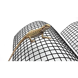 Carolina Custom Cages' Bearded Dragon Tanning Arch, Reptile Habitat Accessory
