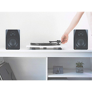 Artesia M-300 Monitor (Single)