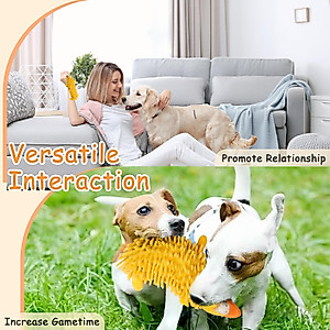 JMZDS&JL Dog Squeak Toys, Puppy Teething Toy, Dog Chewing Toys for Puppies, Medium Size Dogs, Plush Stuffed Crinkle Pet Chew Toys, Texture Exploration, Stuffed Animals for Dogs.（6pack）