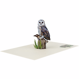 iGifts And Cards Majestic Owl 3D Pop-Up Greeting Card - 6"x8" Enchanting Forest Whispers Gift, Fun Present for Animal and Nature Lovers, Unique Ideas for Birthday, Graduation, Housewarming