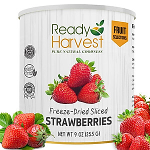 Ready Harvest Freeze Dried Strawberries | Healthy Emergency Snacks | Hurricane preparedness items as survival food | Pantry Staples | #10 Can | 30 Year Shelf Life