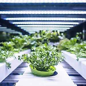 Feit Electric A19/GROW/LEDG2/BX Full Spectrum Led 60W Equivalent A19 Non-Dimmable Hydro Grow Light Bulb, Green