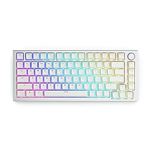 Glorious Aura V2 (White) - PBT Pudding Keycaps for Mechanical Keyboards - ANSI (US), ISO Compatible - Supports Full Size, TKL, 75%, 60% Layouts
