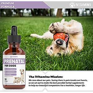 Dog Prenatal Vitamins | Prenatal Vitamins for Dogs | Includes Vitamin B Complex & Vitamin C | Dog Essentials | Whelping Supplies | Prenatal Dog Vitamins | Prenatal for Dogs | 1 Pack: 30 Servings