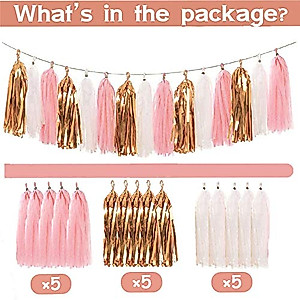 130pcs Rose Gold Balloons with Paper Tassel, Rose Gold Ballon Garland Balloons Kit, Baby Shower Birthday Graduation Anniversary Engagement Bachelorette Balloons Party Decorations for Women Girls