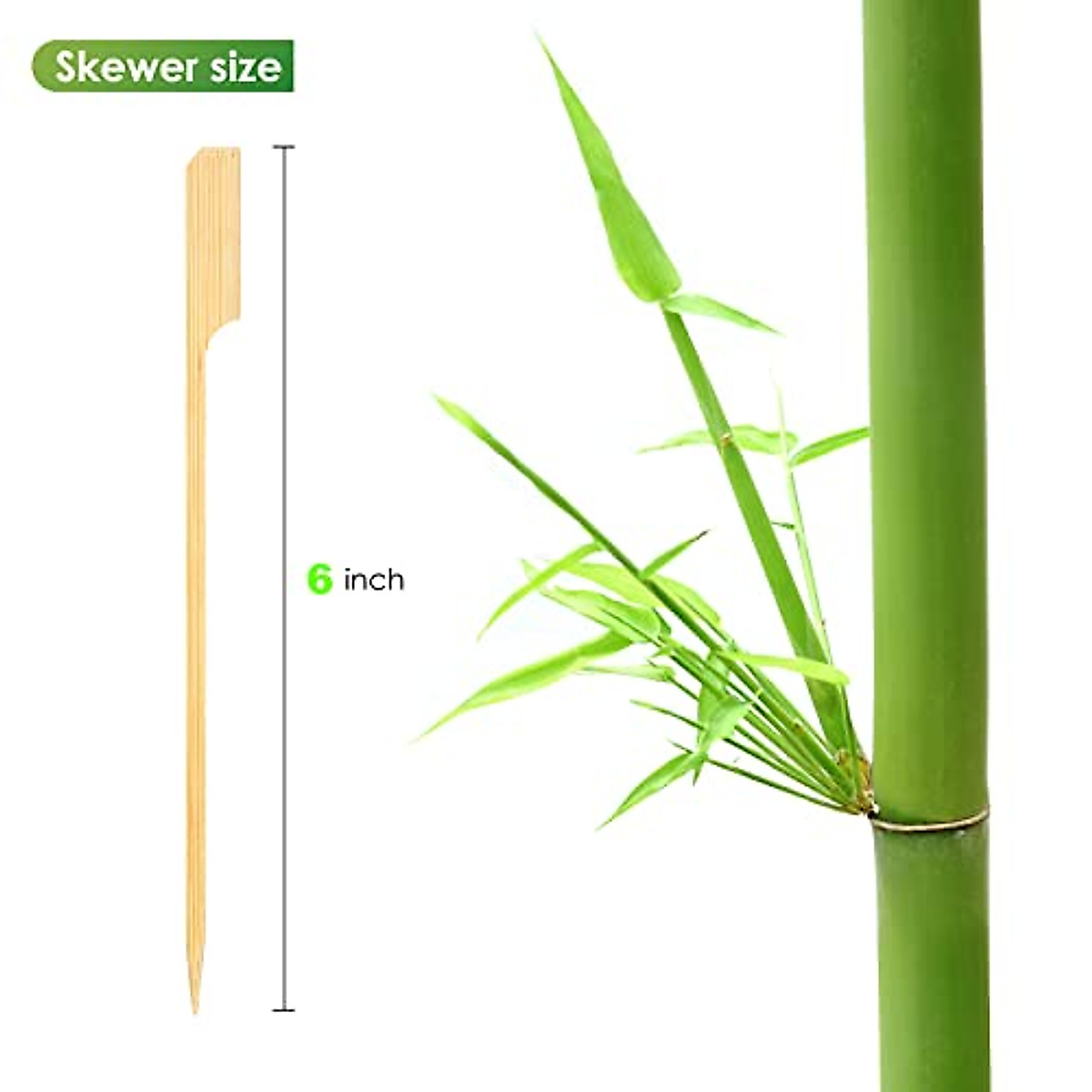 800 Pack 6 Inch Bamboo Skewers for Appetizers Food Toothpicks Wood Picks for Cocktail, Grilling, BBQ, Barbecue, Fruit, Kebab, Sandwiches, Cheese, Sausage, Veggies, Desserts, Salad, Party Favor