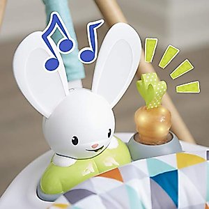 Evenflo Exersaucer Wood Frame Jumper, Woodland Wonder