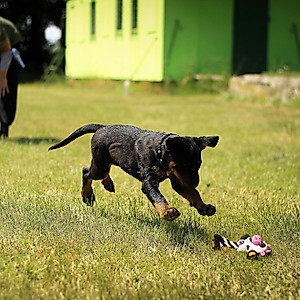 ARITHBIRD Squeaky Dog Toys - Cute Cow Shape Stuffed Plush Toy for Small, Middle, and Large Breed Dogs - Durable Dog Chew and Teething Toys -Tough Plush Toys for Cats