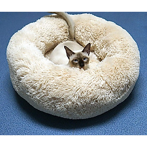 BODISEINT Modern Soft Plush Round Pet Bed for Cats or Small Dogs, Mini Medium Sized Dog Cat Bed Self Warming Autumn Winter Indoor Snooze Sleeping Cozy Kitty Teddy Kennel (20'' D x 8'' H, Champagne)