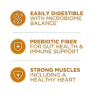 Purina ONE Chicken and Rice Formula Dry Dog Food - 16.5 lb. Bag