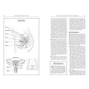 What to Expect Before You're Expecting: The Complete Guide to Getting Pregnant