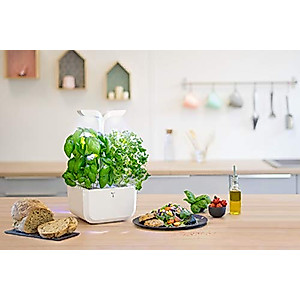 Véritable® EXKY Classic (White) - Indoor Vegetable Garden Made in France - Smart Autonomous Garden Delivered with 2 Lingots®